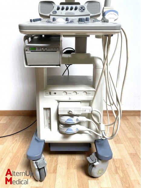 GE Logiq P5 Ultrasound - Alternup Medical