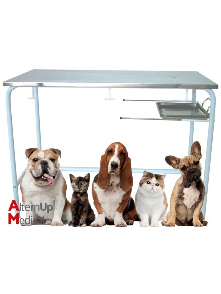 Veterinary Examination Table - Alternup Medical