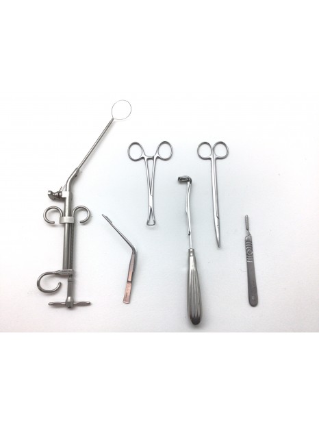 Landanger-Climdal ENT Surgical Instrument Set - Alternup Medical